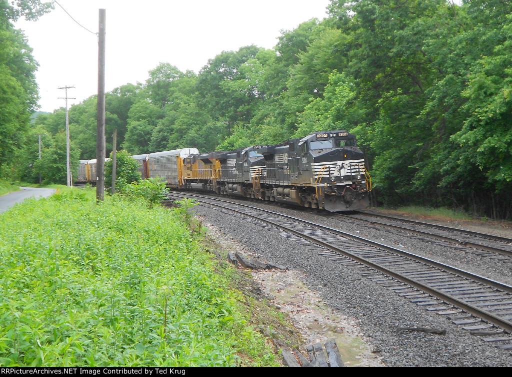 NS 9304, NS 9346 & UP 8785